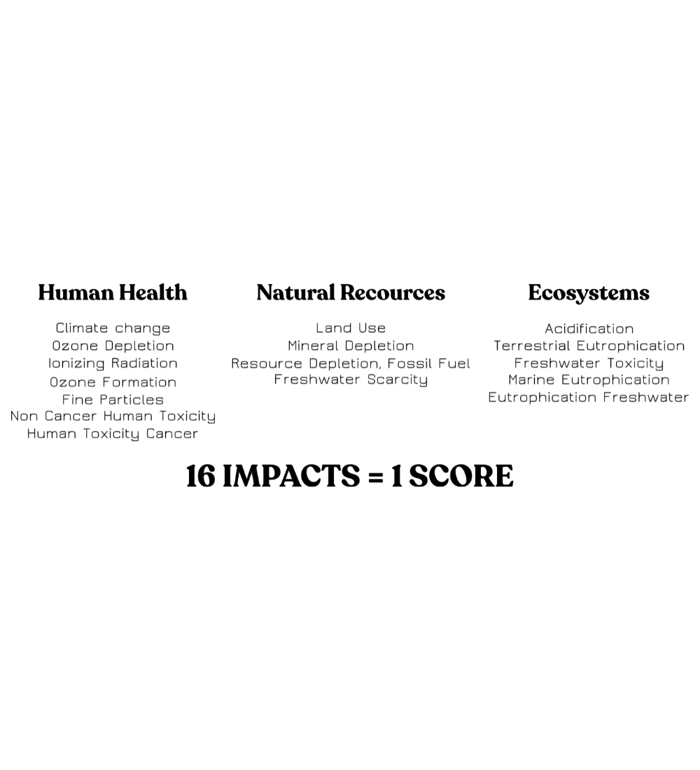 Single Score Calculation | Lagoped